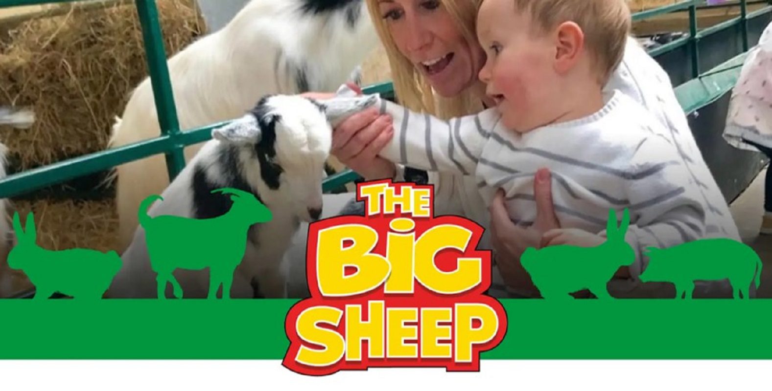 The Big Sheep - VisitExmoor